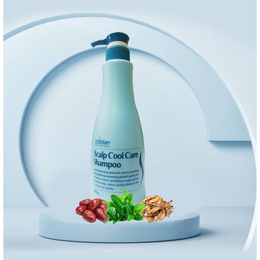 OBSIDIAN SCALP COOL CARE SHAMPOO 580ML | Shopee Malaysia