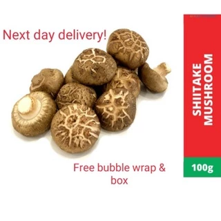 cendawan shiitake - Prices and Promotions - Jul 2024 | Shopee Malaysia