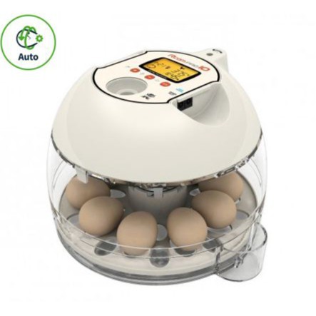 Rcom PRO 10 (Automatic) | Shopee Malaysia