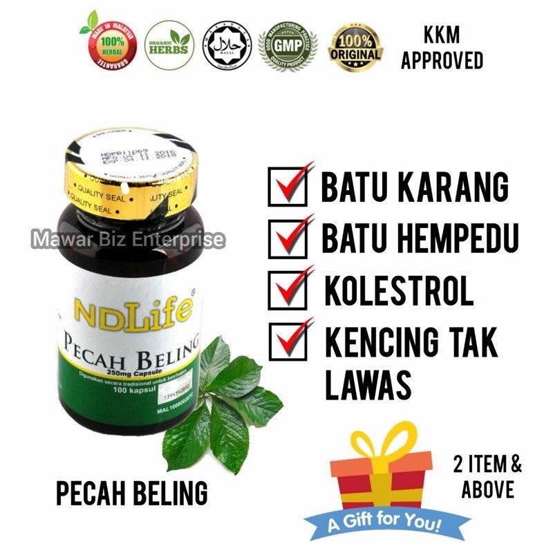 💥[Ready Stock]💥 ORIGINAL PECAH BELING Ndlife - Batu Karang, Batu ...