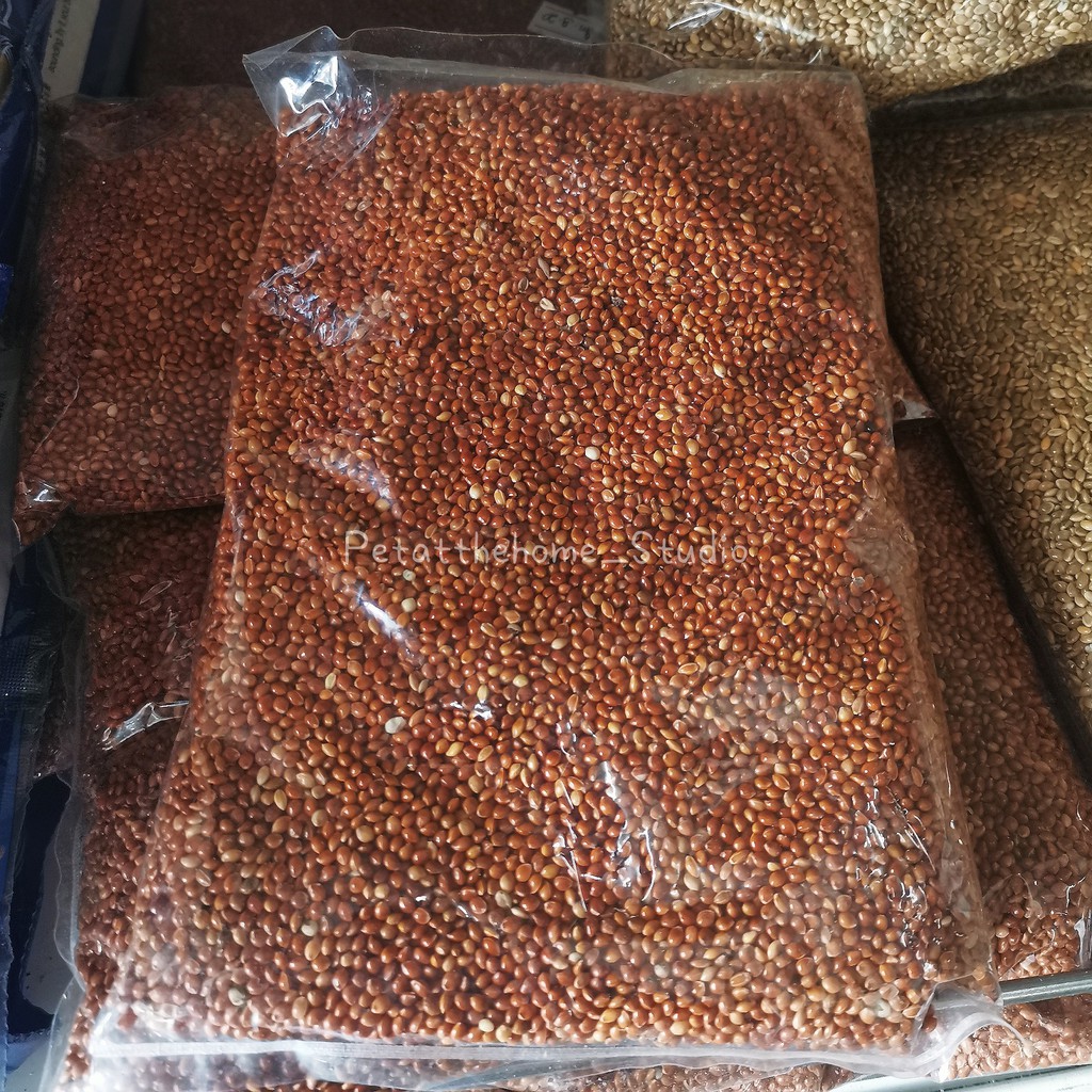 Sambau Putih Sambau Kuning/Hijau/Merah/Hitam Makanan Burung 1KG Millet ...