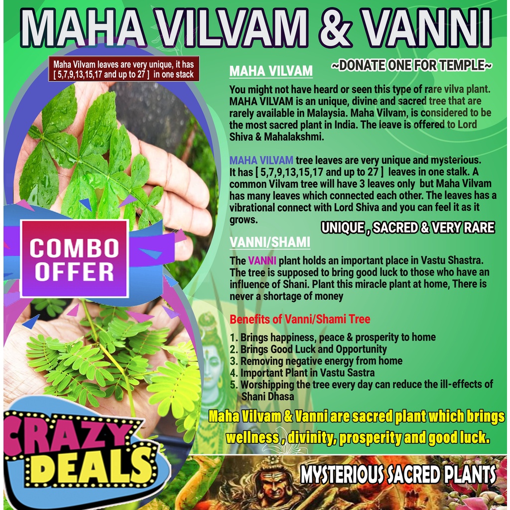 COMBO OFFER MAHA VILVAM + VANNI PLANT +RUDRAKCHA TREE | Shopee Malaysia