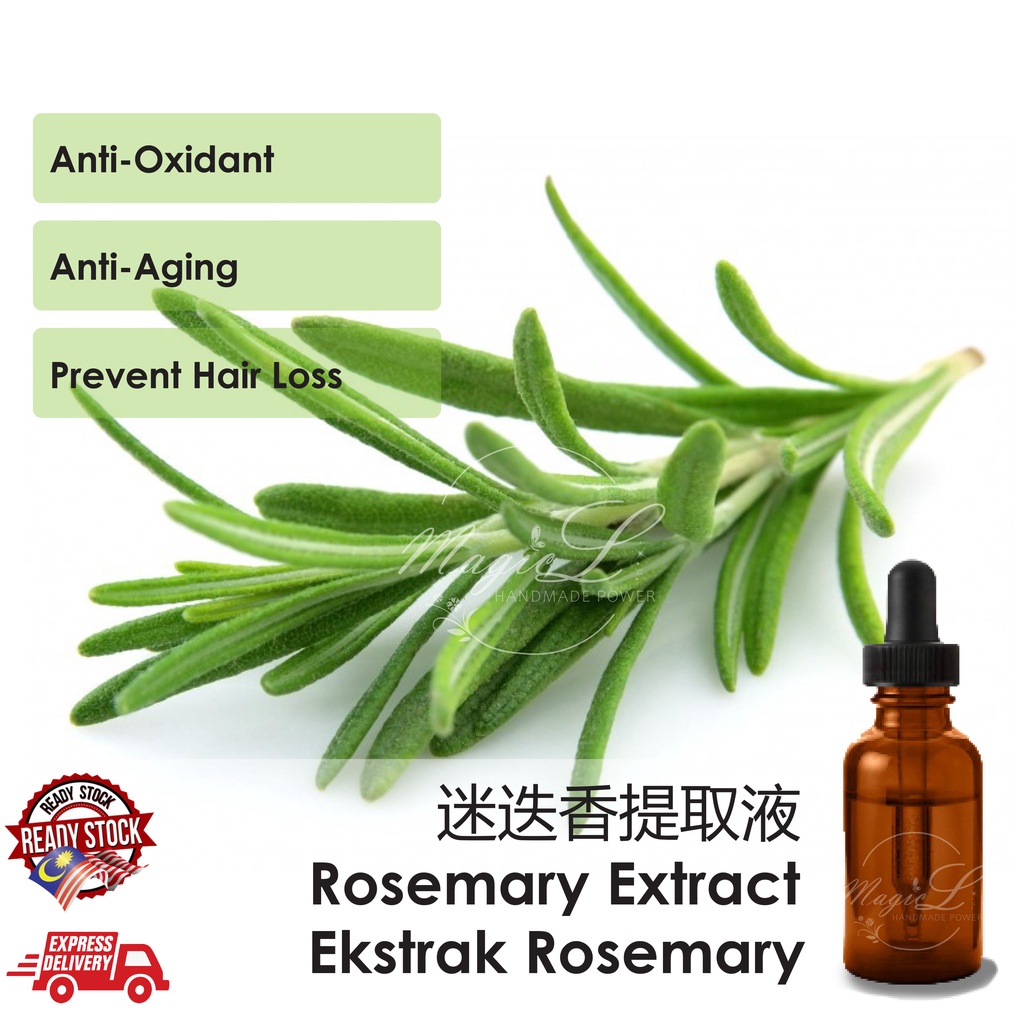 Rosemary Liquid Extract (Colorless) 迷迭香萃取液 (无色) Ekstrak Cecair Rosemary ...