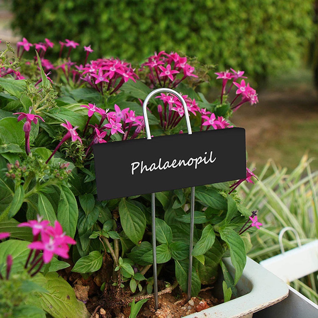 [Ready Stock] Label Signboard For Plant Sign Gardening Supplies Durable ...