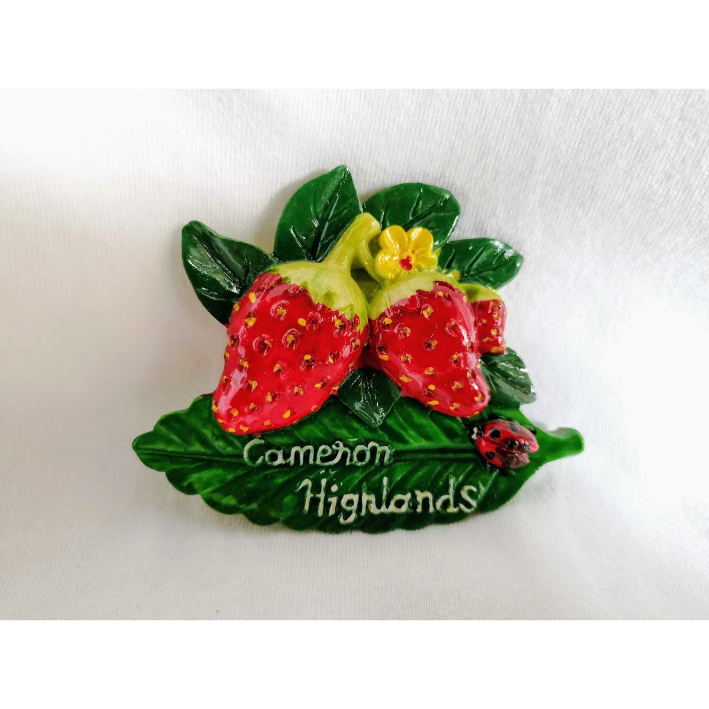 Cameron Highlands Malaysia strawberry magnet souvenir 马来西亚金马仑高原草莓磁铁纪念品 ...