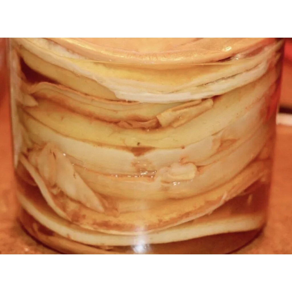 Active Kombucha Scoby ( Starter tea in sealed bag ) | Shopee Malaysia
