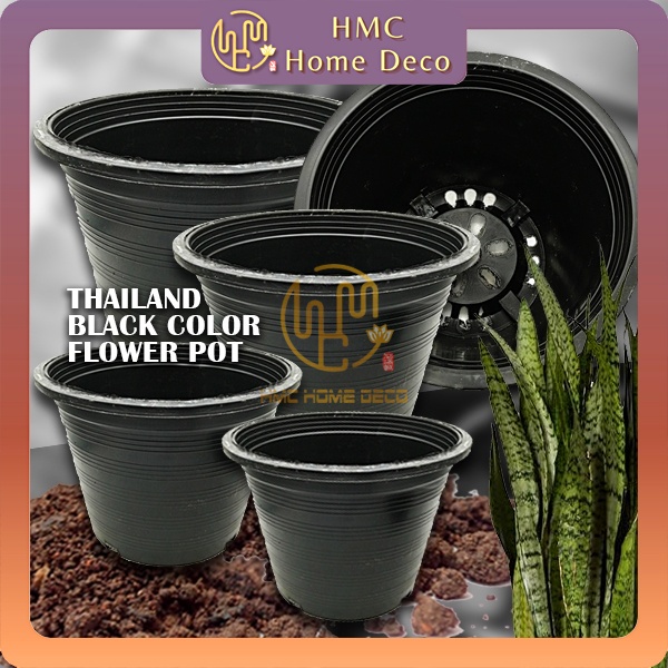 Thailand Flower Pot Garden Plant Succulent / Pasu Bunga Pokok Berkebun ...