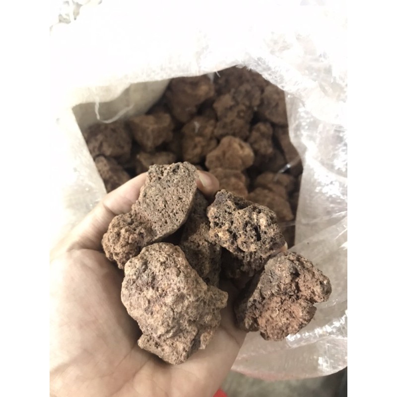 Lava Rock/Volcano Stone/Batu Gunung Berapi/火山石 | Shopee Malaysia