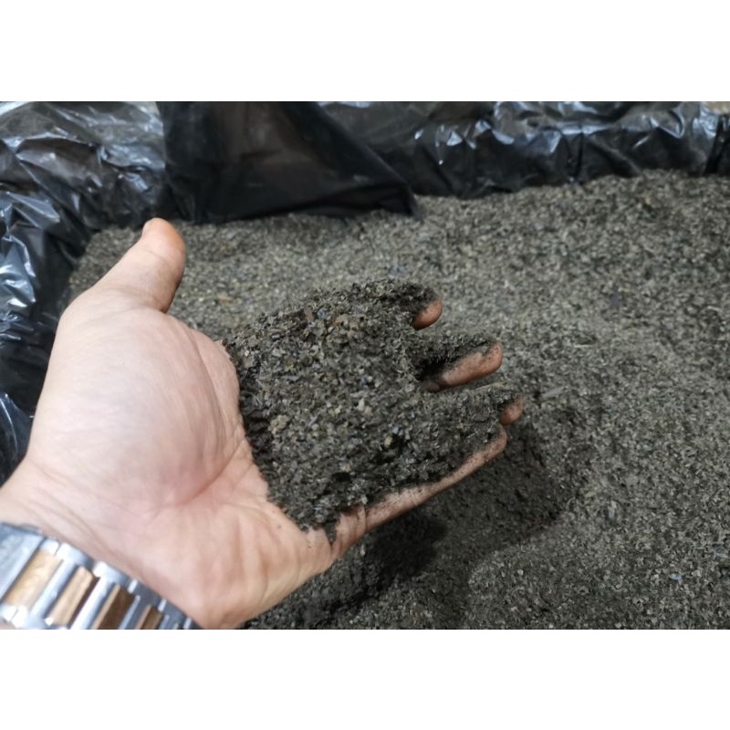 HABUK KEMUNING HITAM 💯% ASLI(1/2 KG/1KG) | Shopee Malaysia