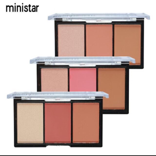Ministar Professional Makeup Blush & Contour | Shopee Malaysia
