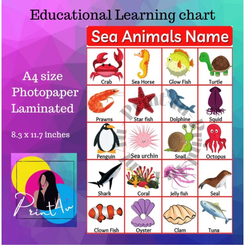 Sea Animals Chart Kids learning materials Laminated - A4 | Shopee Malaysia