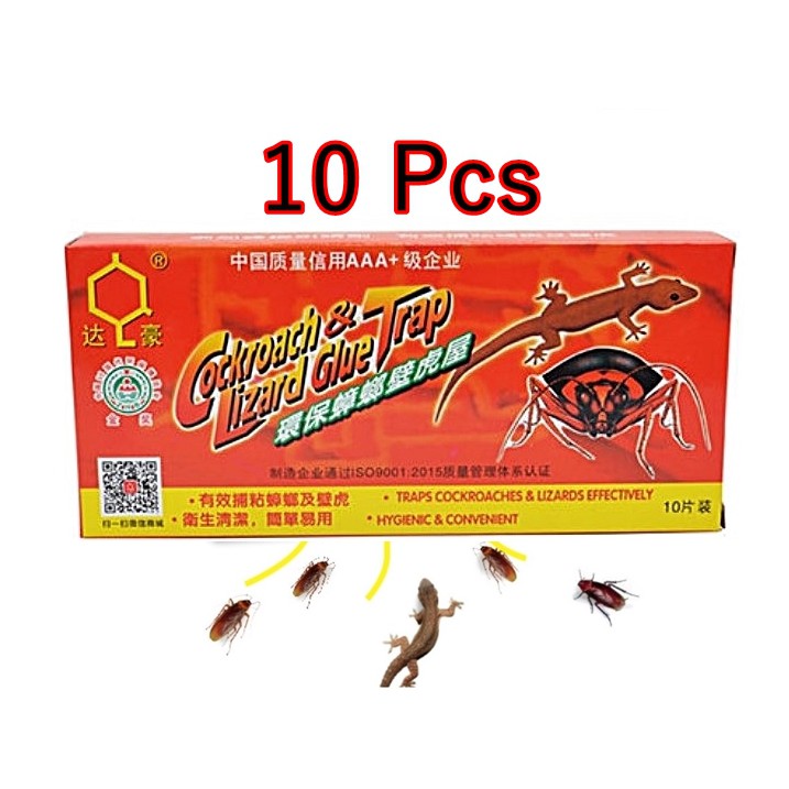 Cockroach & Lizard Glue Trap Lizard House * Perangkap Lipas Cicak Rumah ...