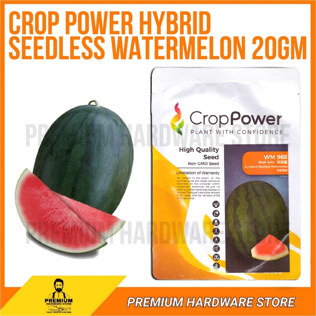 CROP POWER F1 HYBRID WM968 20G Seedless Watermelon Seeds Biji Benih ...