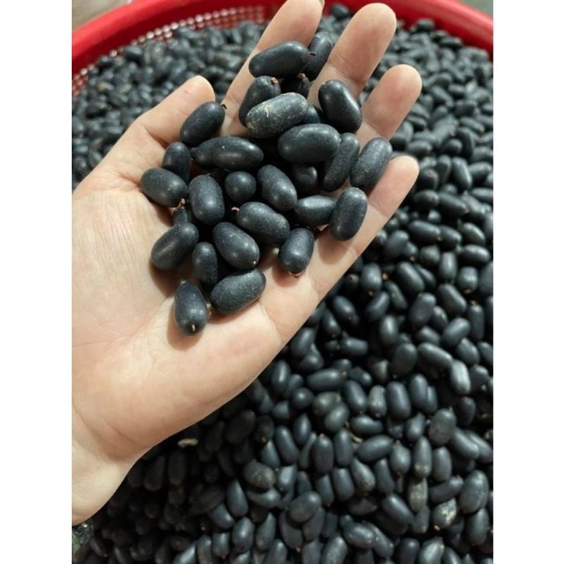 Forest BEANS TO SUPPORT STOMACH AND COLON PAIN 500G | Shopee Malaysia