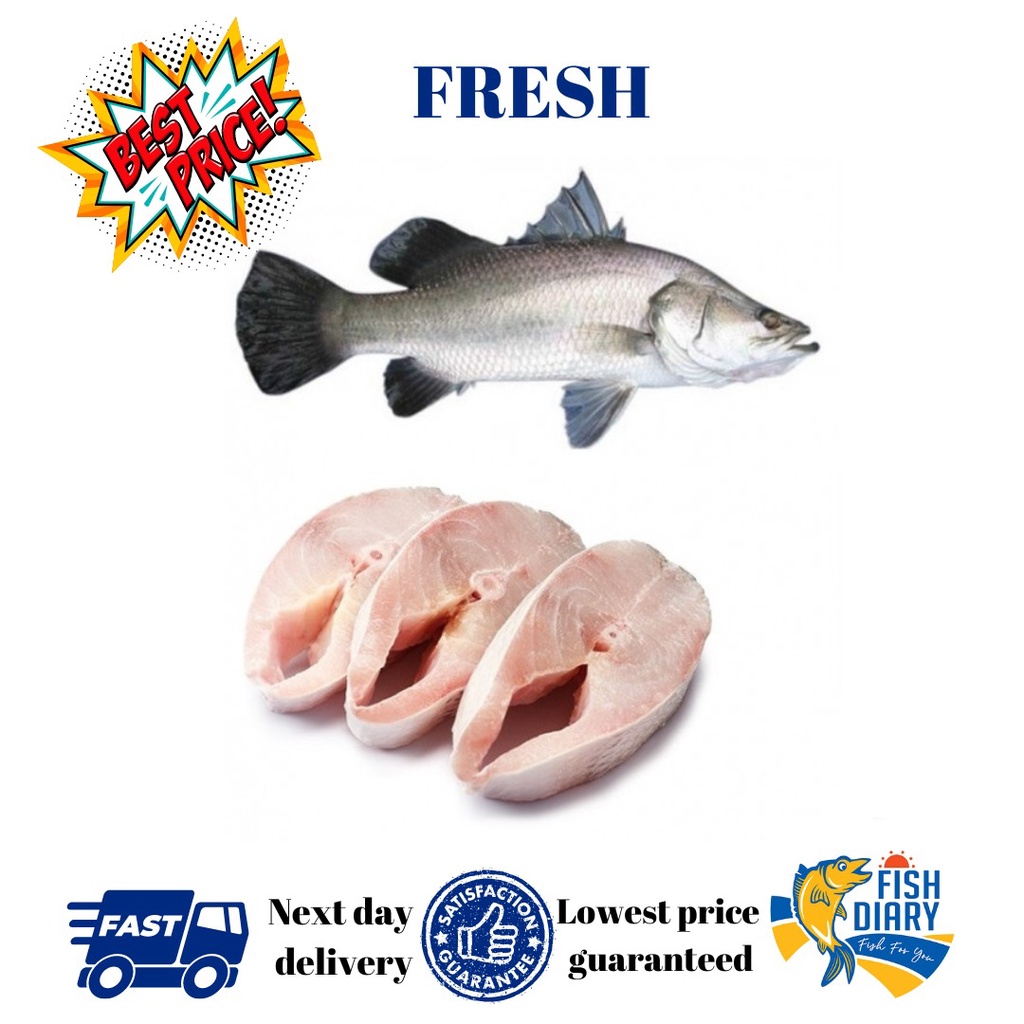 【Penang area only】🔥FRESH🔥 PREMIUM Barramundi Block (Siakap) 150g to ...