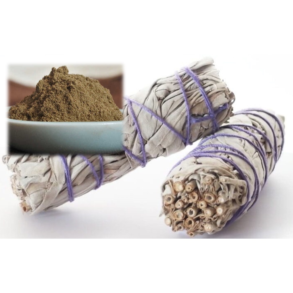 White Sage Leaf Powder 白鼠尾草粉 30G | Shopee Malaysia