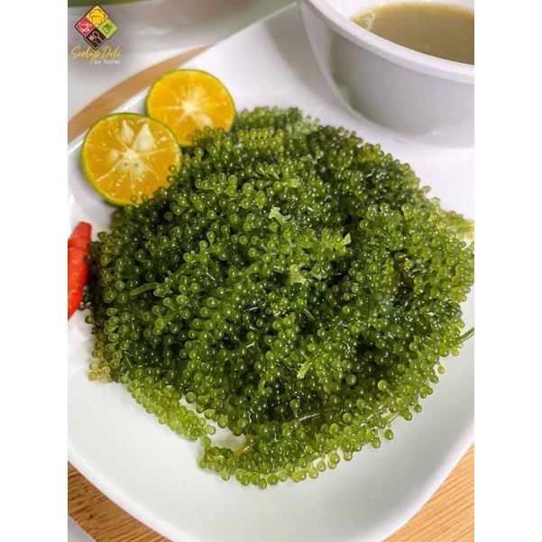 LATOK POP POP SHRINK FRESH | Shopee Malaysia