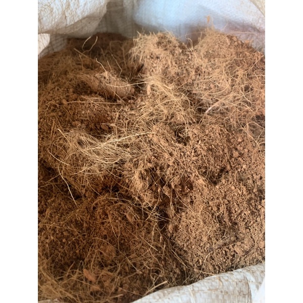 sabut kelapa halus (1KG) / cocopeat / sabut halus /sabut kelapa baru ...