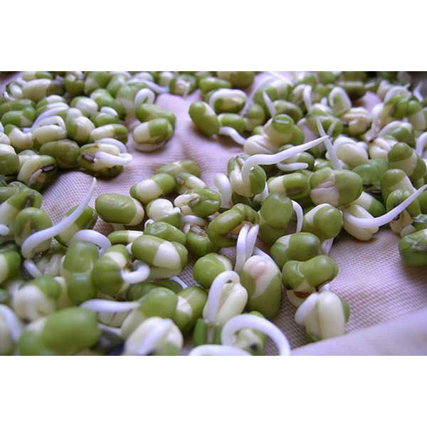 Roasted Green Bean Sprouts 1kg (Grain Form) | Shopee Malaysia