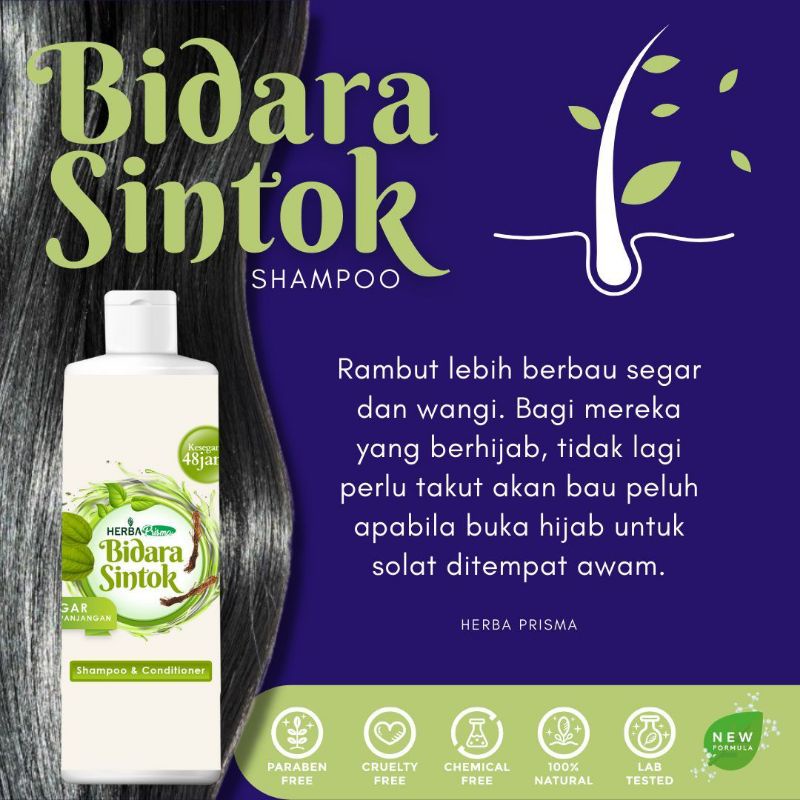 PROMOSI‼️(POST TODAY) SHAMPOO BIDARA SINTOK SYAMPOO ORIGINAL FROM HERBA ...