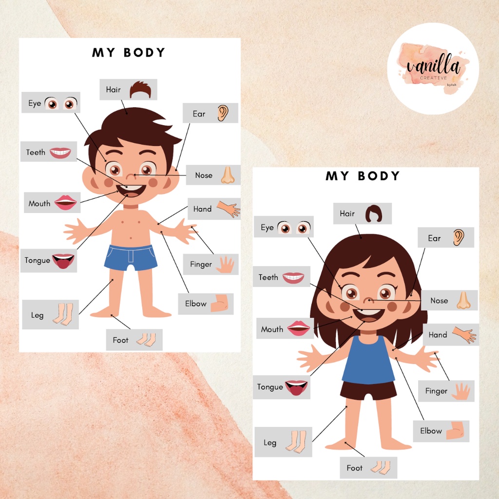 Body Parts Recognition - Body Parts Matching Montessori Early Learning ...