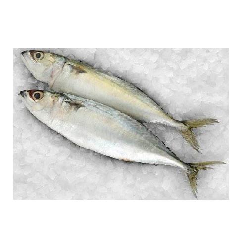 Frozen Ikan Mabong 500g | Shopee Malaysia