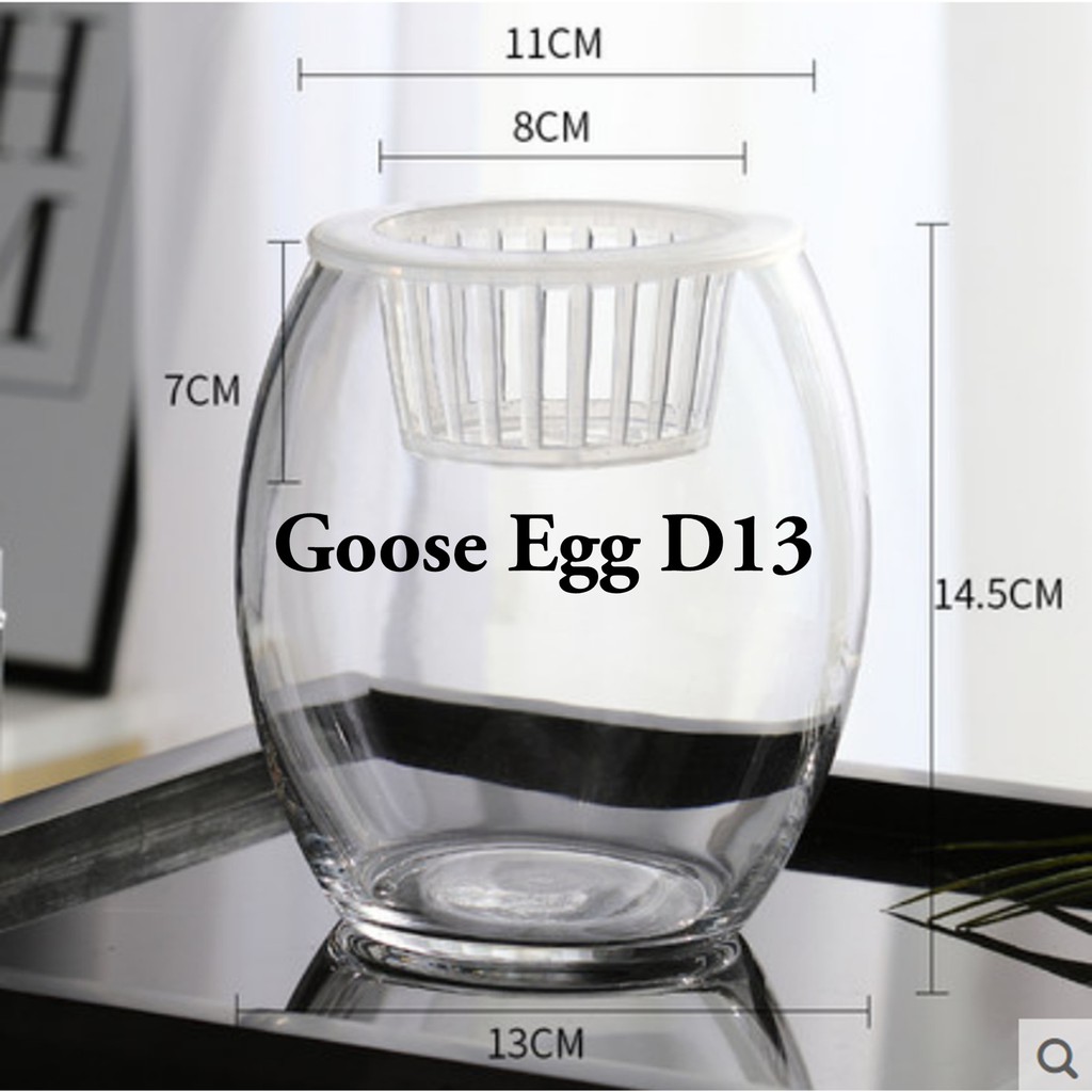 Pasu Kaca bulat Glass Vase Goose egg shape hydroponic vase pasu bunga ...