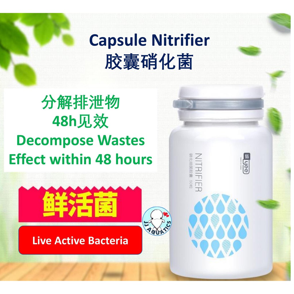 Ready Stock YEE Capsule Nitrifying Bacteria Nitrobacter Nitrifier ...