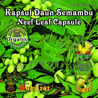 ( 🔥 Jualan Borong 🔥 ) Kapsul Daun Semambu - Neem Leaf Capsule ( 💊 500 ...