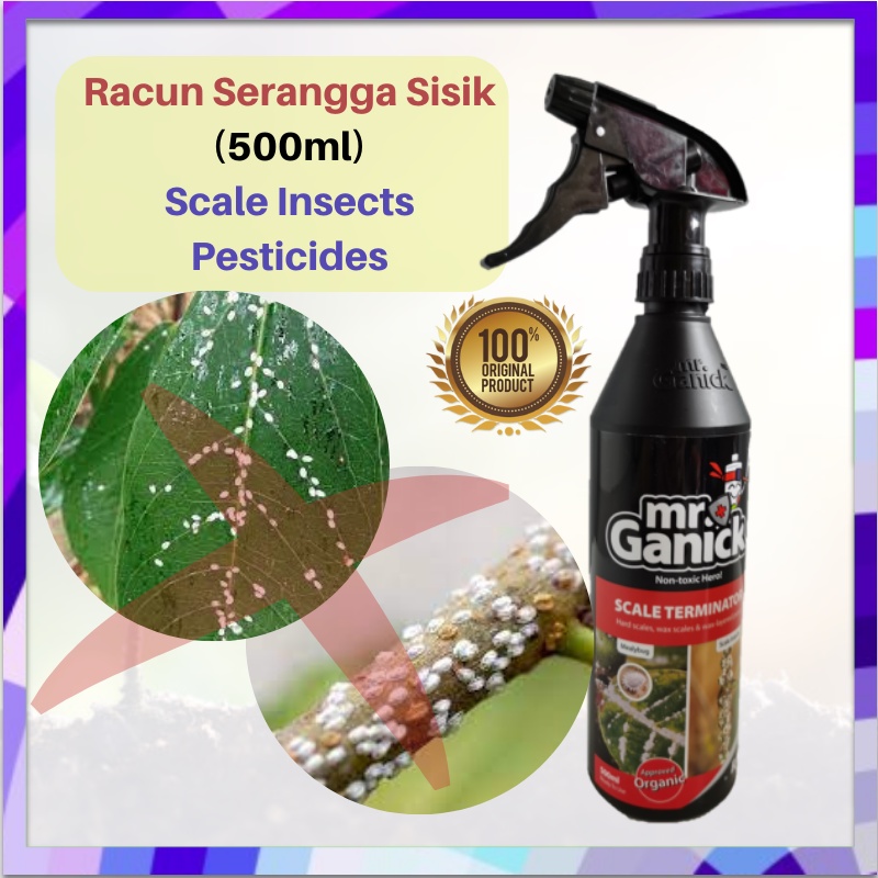 Baba Mr Ganick Scale Terminator (500ml) Scale Insects Pesticide / Racun ...
