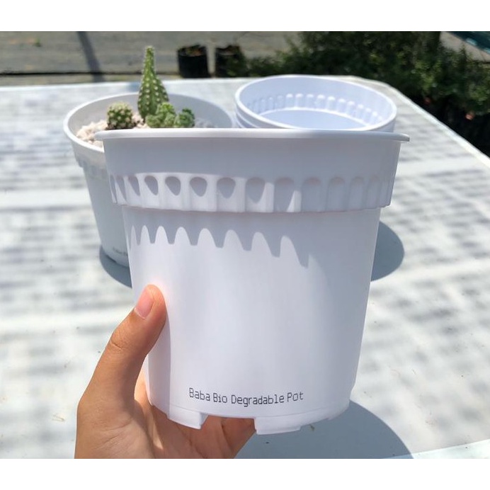 GNC - Baba RD-150 White Colour Plastic Planting Pot Pasu Bunga Pokok ...