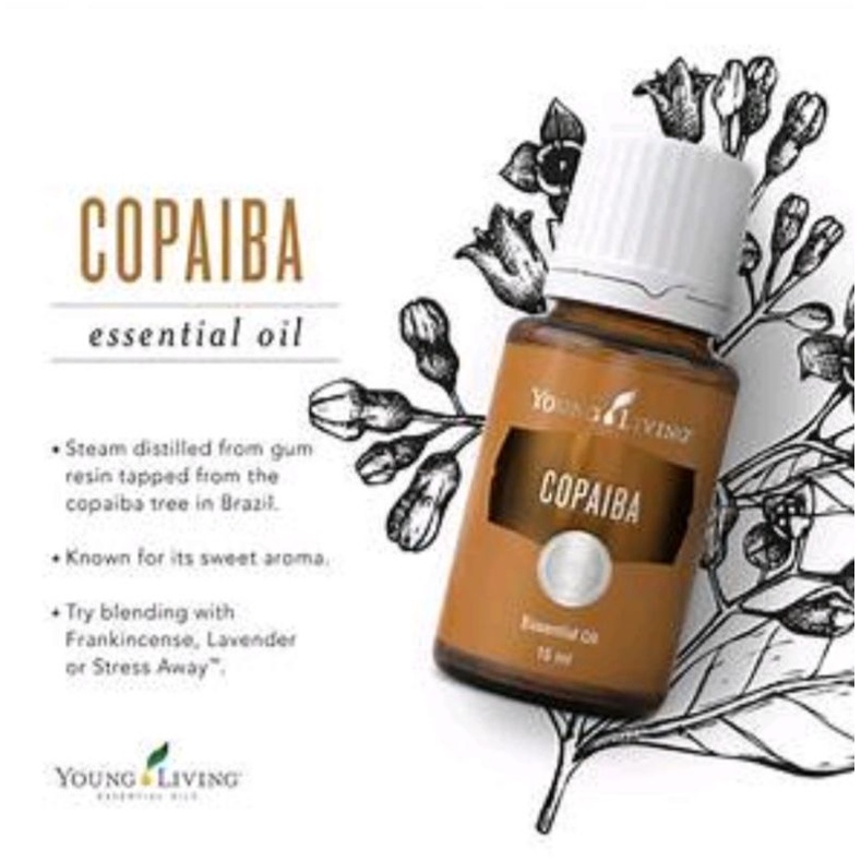 [Ready Stock] Young Living Copaiba Essential Oil (5ml) | Shopee Malaysia