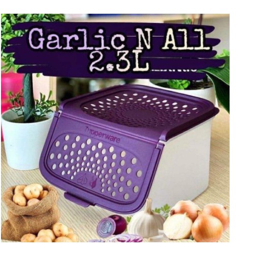 TUPPERWARE: BEKAS BAWANG/KENTANG /Garlic Storage /Onion Keeper ...