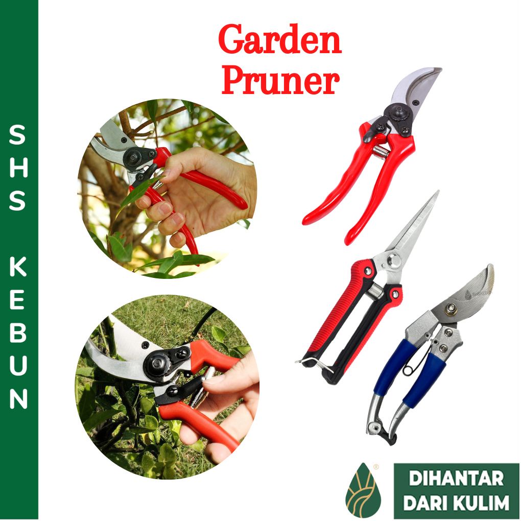 Pemangkas Dahan Gunting Pokok Garden Pruner Scissors Pruning Shears ...
