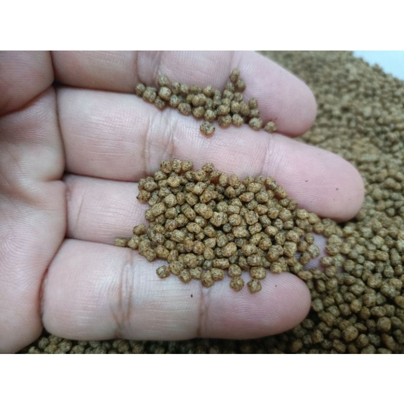 Offer!! Offer!! Super Save Fish Pallet (Floating) 2-3mm 500g/1kg Pack ...