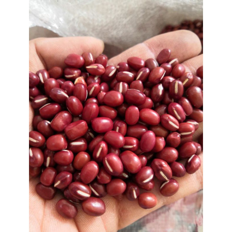 Organic Red Bean Kacang Merah Organik 有机 红豆 | Shopee Malaysia