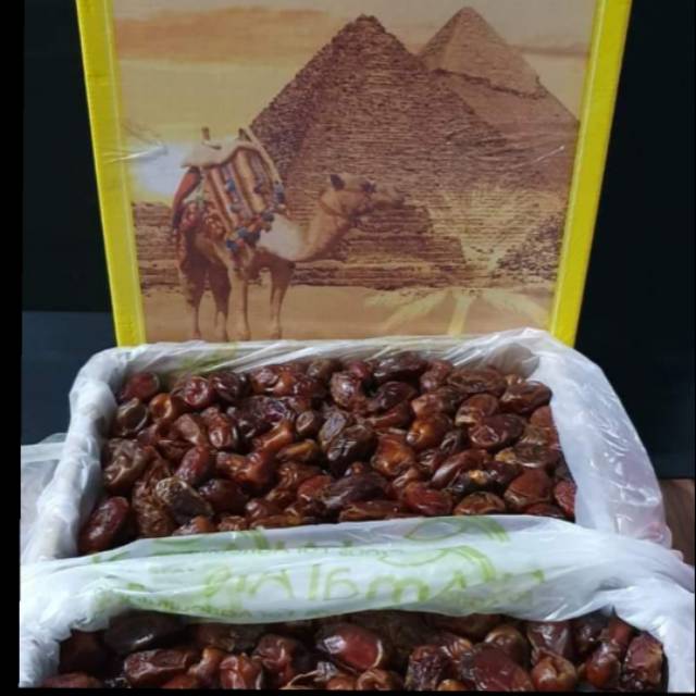 Egyptian dates packaged 1 Kg | Shopee Malaysia