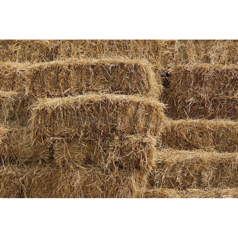 Jerami 1KG RM4.5 / Jerami Padi / Rice Straw / Paddy Hay/ Dried Hay ...