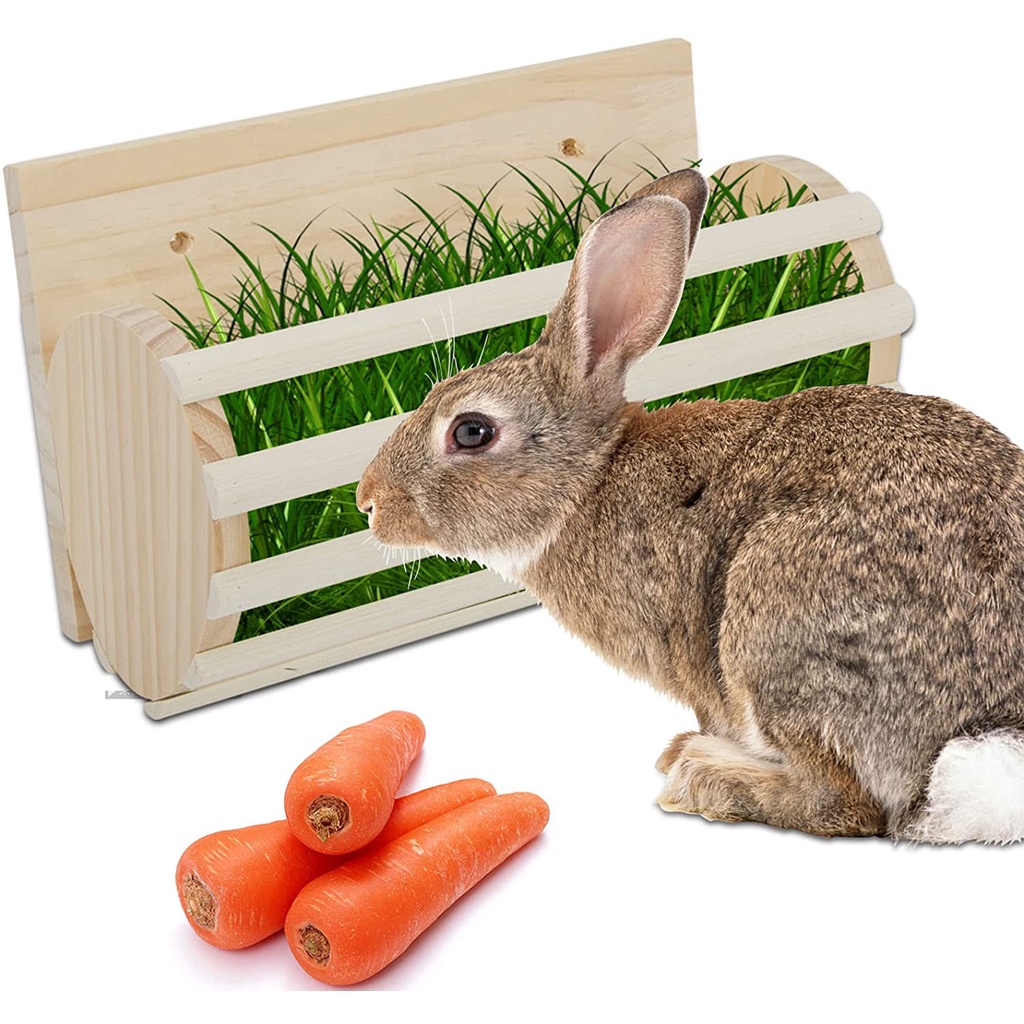 Rabbit Hay Wooden Manger Wall-mountable Food Feeding Rack Feeder Grass ...