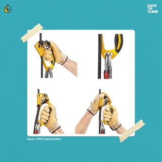 Petzl Ascension Ascender Right/Petzl Ascension Ascender Left Jumar ...