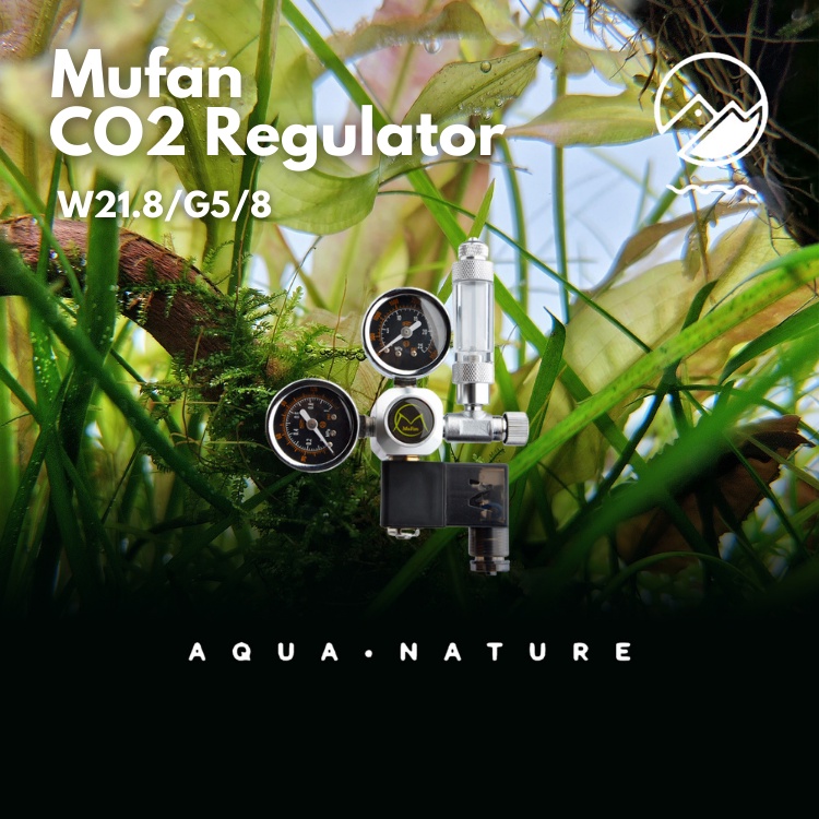 MUFAN CO2 Pressure Regulator (With Solenoid & Dual Gauges & Bubble ...