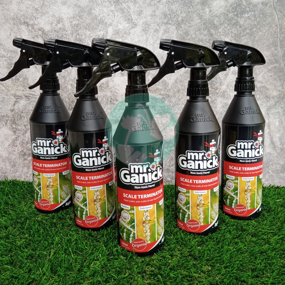 MidoriePlant - Baba Mr Ganick Scale Terminator ( 500ML ) | Shopee Malaysia