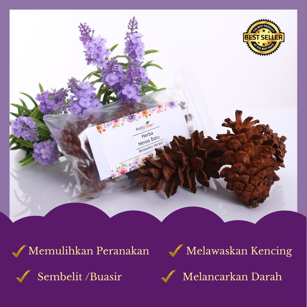 Herba Nenas Batu/ Pine Cone | Kecutkan Peranakan dan Buasir | Shopee ...
