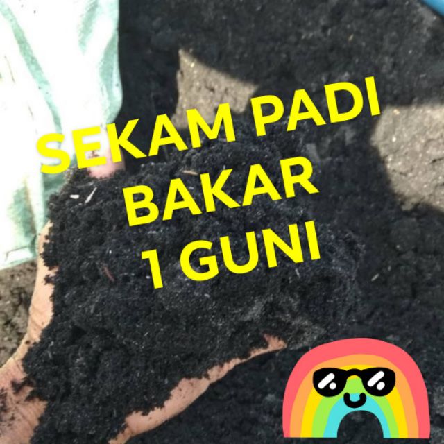 SEKAM PADI BAKAR 10kg💥💥👩‍🌾👨‍🌾1 GUNI [ RM15 FREE SHIPPING] | Shopee Malaysia