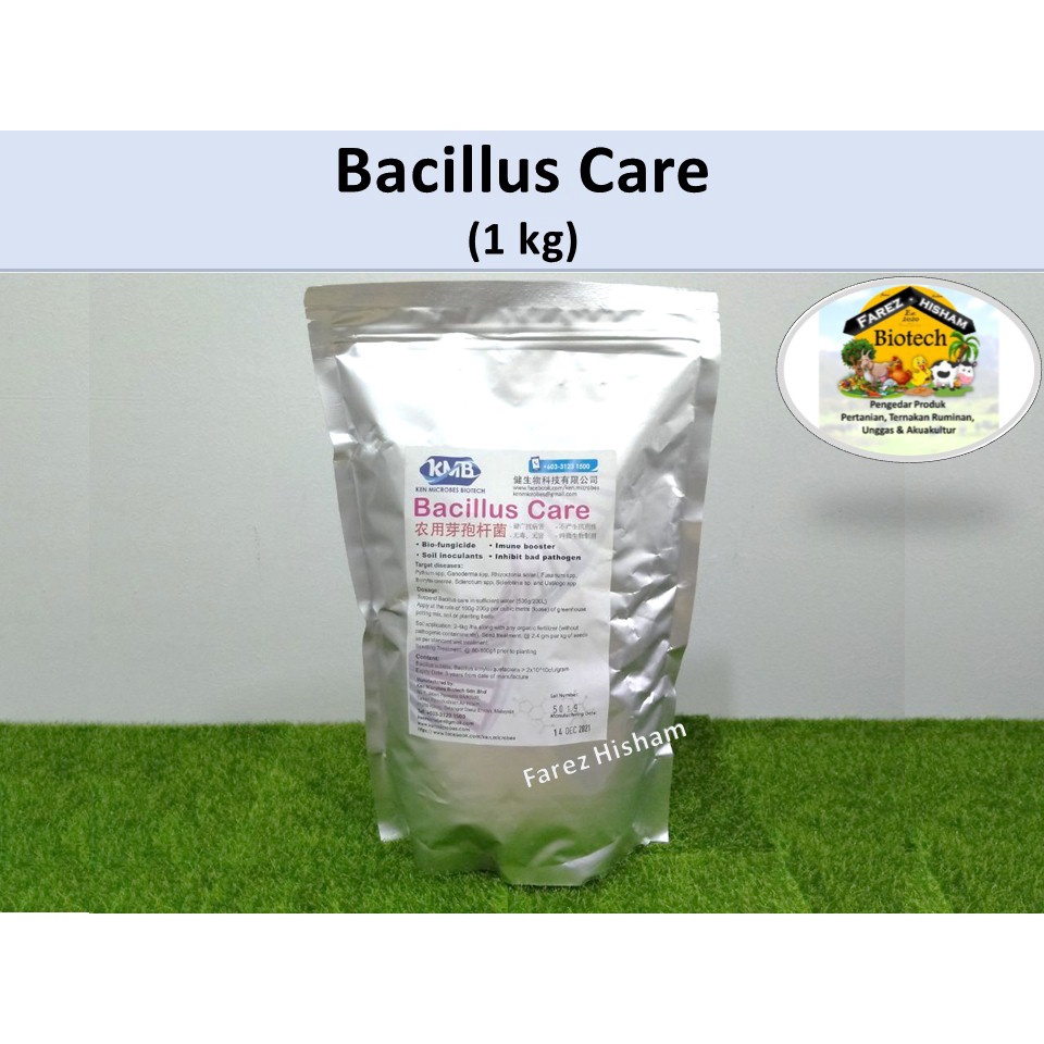 1kg Bacillus Care Ken Microbes Agriculture Racun Kulat Biofungicide ...
