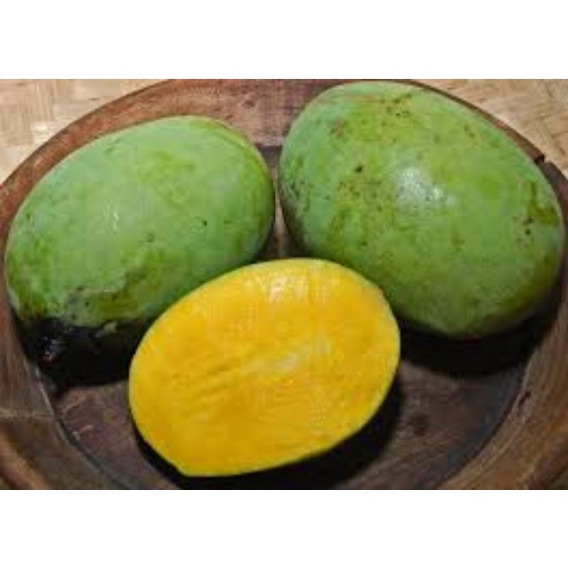Buah mangga kuini / konen / kwini manggo segar | Shopee Malaysia