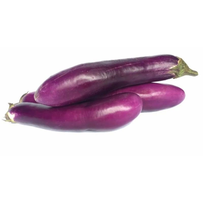 terung segar murah2. | Shopee Malaysia