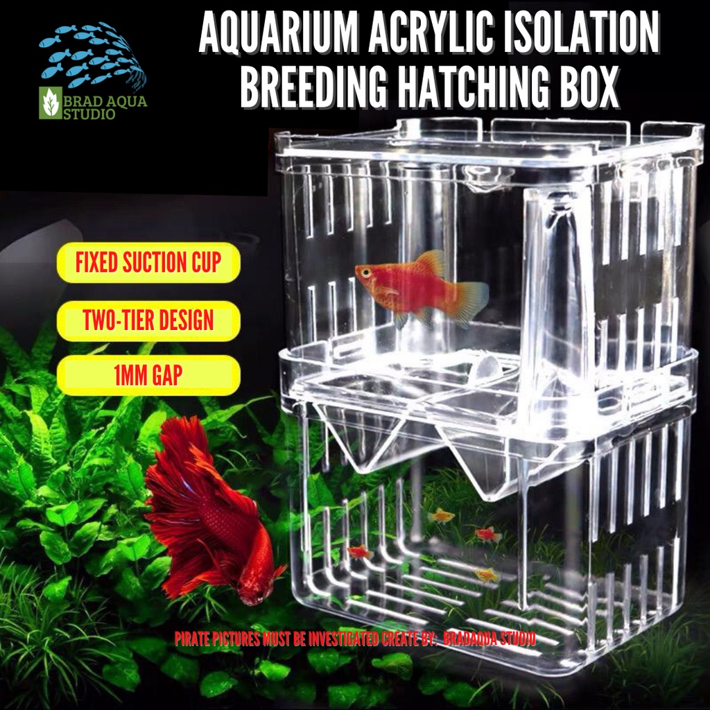 AQUARIUM Acrylic Isolation Breeding Hatching Box S/ M/ XL | Shopee Malaysia