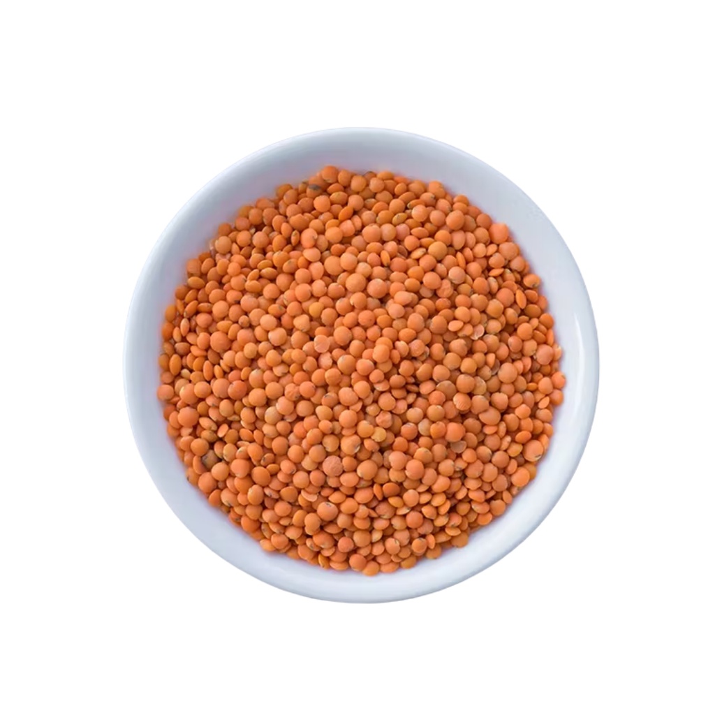 Red Lentils (Masoor Dhall Dhal Dal) 红扁豆 200g、500g、1kg | Shopee Malaysia