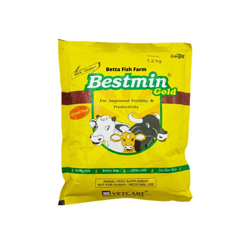 Bestmin Gold Vitamin Premium Untuk Ternakan Membantu Meningkatkan ...